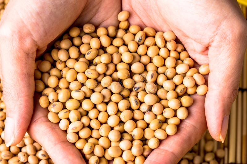 Saovadee - Photographer profile