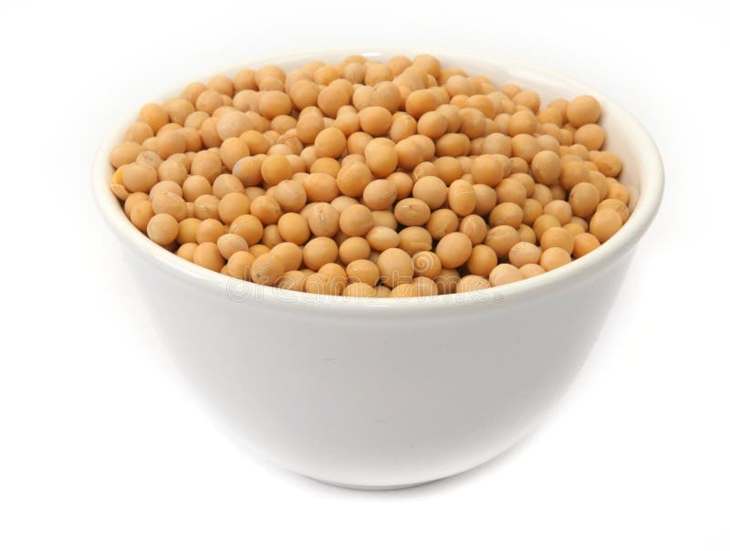 Sojabonen stock foto. Afbeelding bestaande uit bonen - 42957432