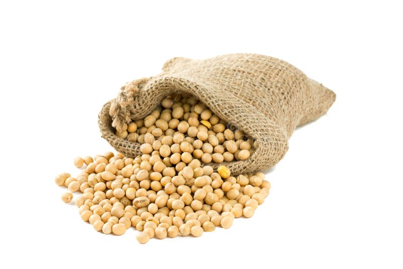 Sojabonen in Een Zak Op Wit Stock Foto - Image of voedsel, proteïne ...