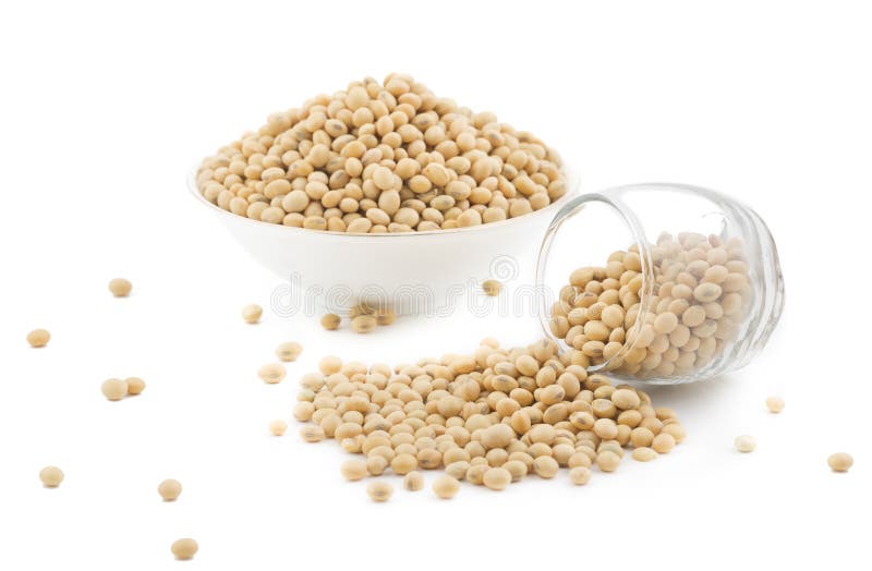 Sojaboon stock afbeelding. Image of gevild, dekking - 105602993
