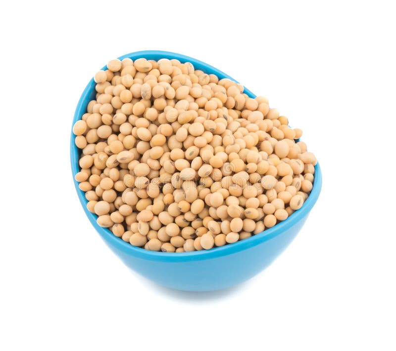 Sojaboon stock afbeelding. Image of dekking, micro, eetbaar - 105741137