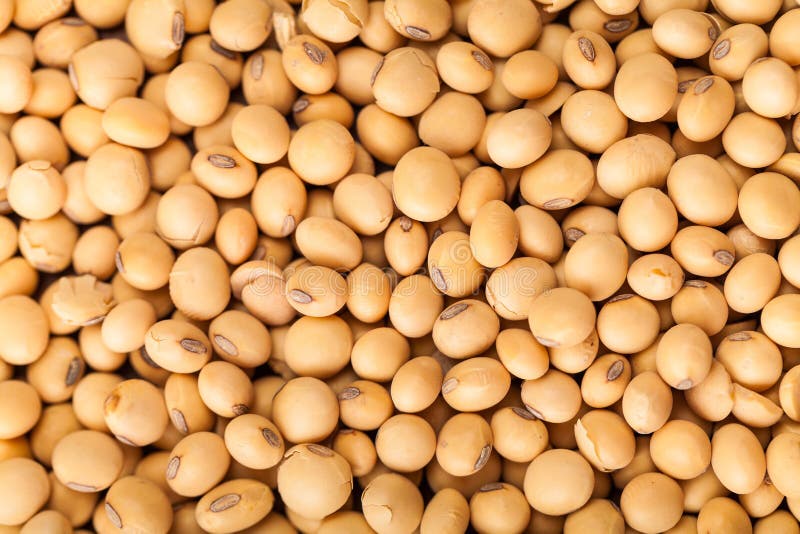 Sojaboonpeulvrucht Sluit Omhoog Van Korrels Over Jute Stock Foto ...