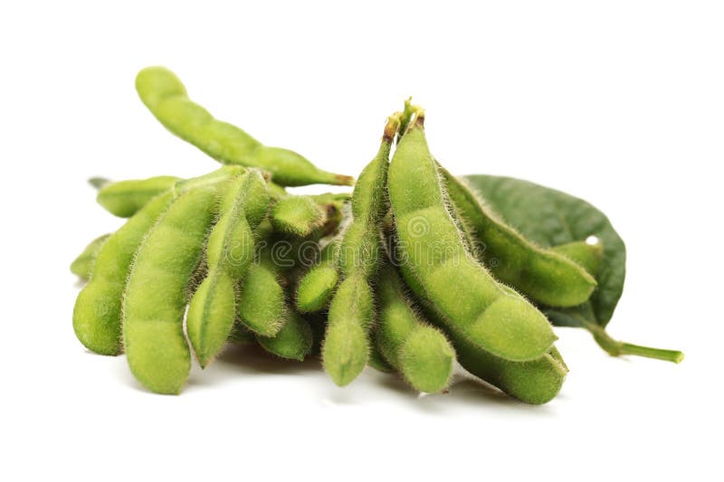 Sojaboon stock afbeelding. Image of tuin, keuken, landbouw - 27866037
