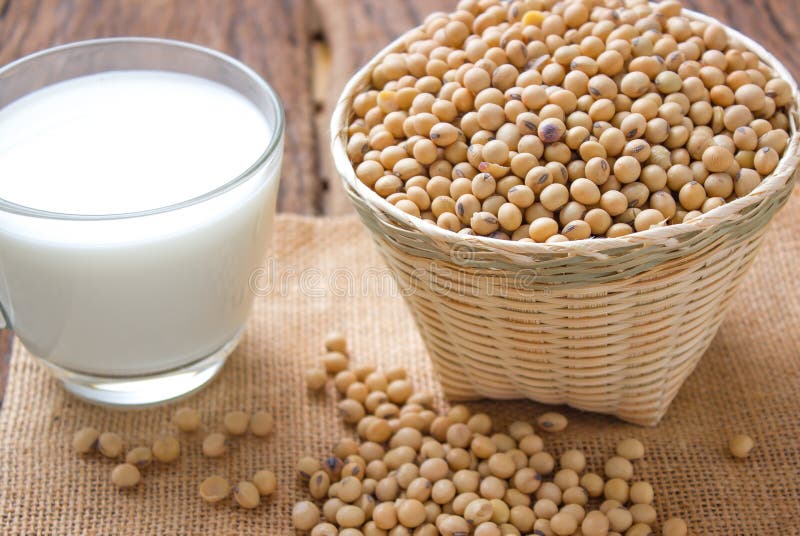 De Producten Van De Sojaboon Stock Afbeelding - Image of gezondheid ...