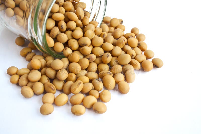 Sojaboon in fles stock foto. Image of dieet, vers, installatie - 21825750