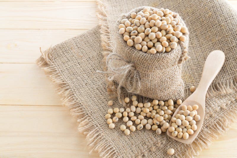 Sojaboon in hennepzak stock foto. Image of proteïne - 105284074