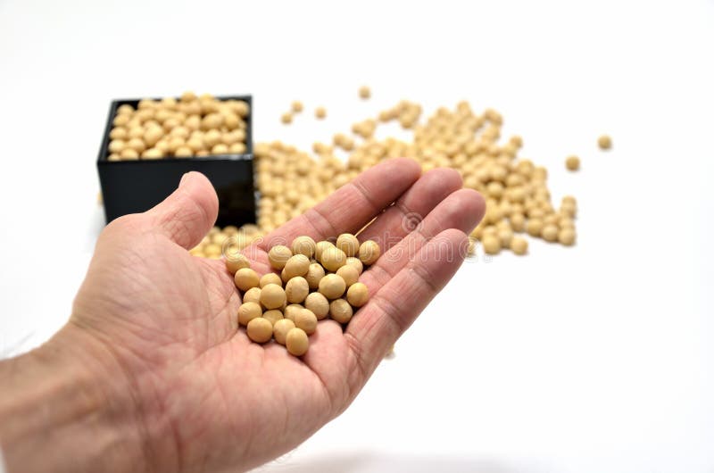 Soje obraz stock. Obraz złożonej z tło, proteina, japończycy - 22851831