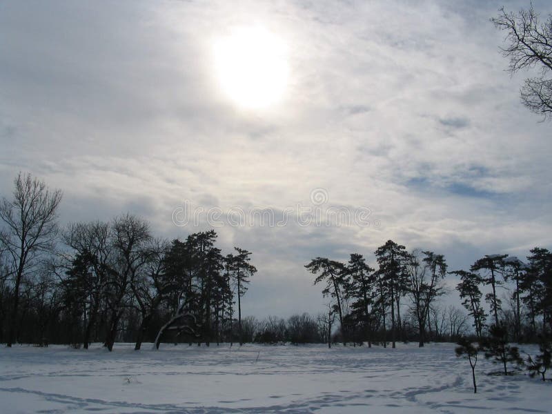 Sol Congelado Imagen. Imagen: 251124