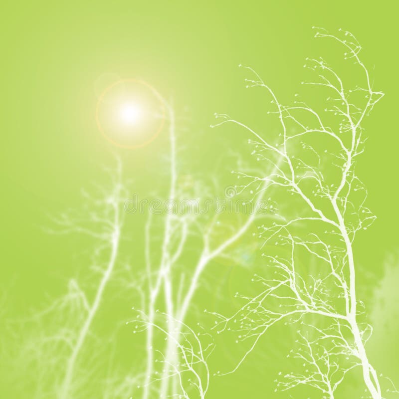 Sol De La Cal Imagen. Imagen: 582741