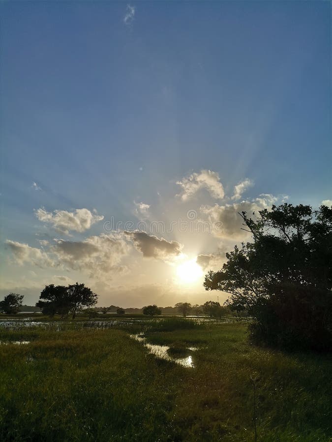 Sol de tarde foto de archivo. Imagen de tarde, hermoso - 219863866