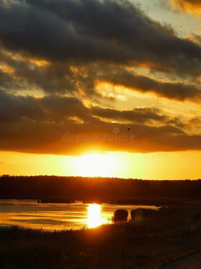 Sol dorado imagen de archivo. Imagen de ocaso, nubes - 159073901