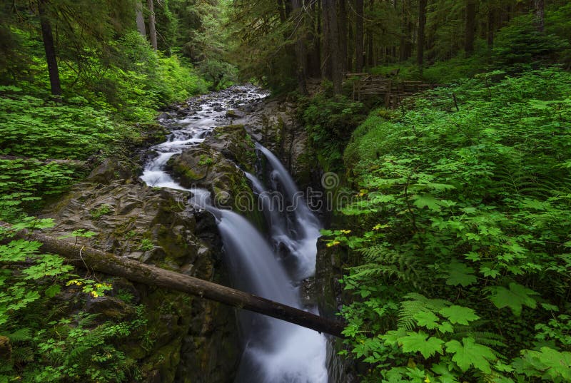 Sol Duc Falls stock image. Image of water, olympic, washington - 76541053
