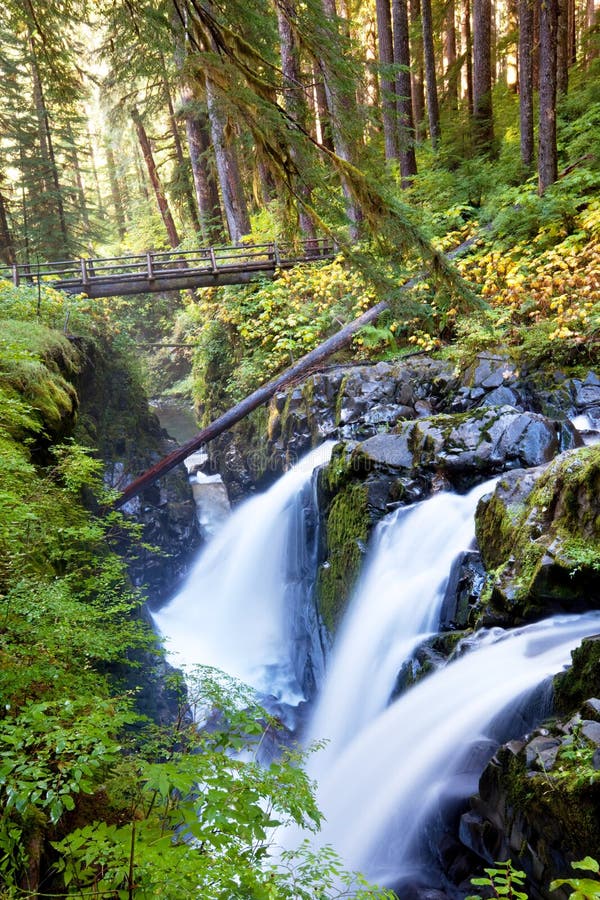 Sol Duc stock image. Image of spring, stream, forest - 54189411