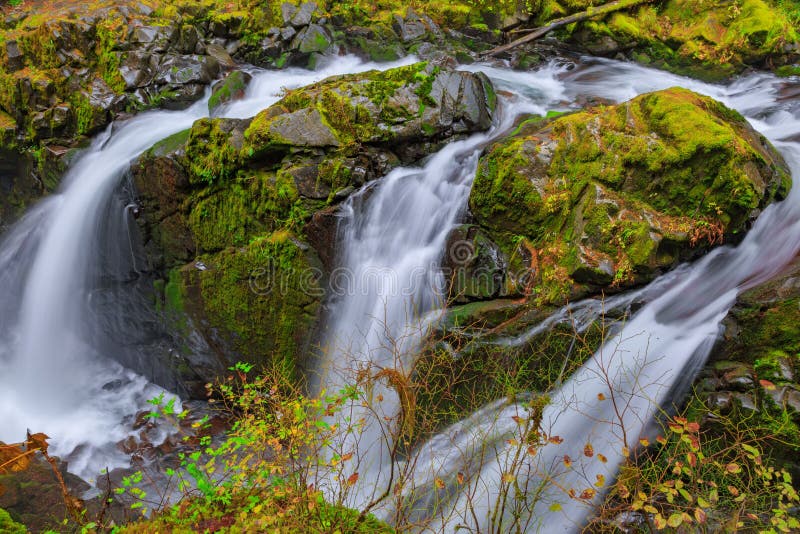 Sol Duc Waterfall in Rain Forest Stock Image - Image of ecology, path ...