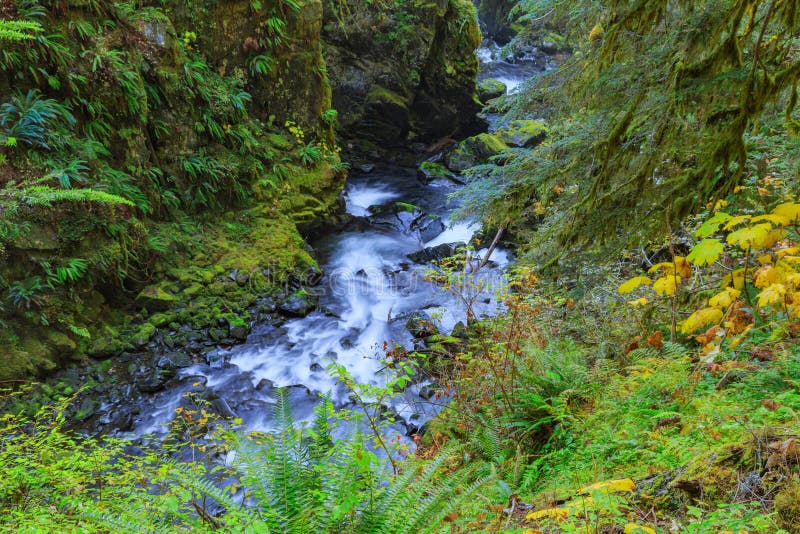 Sol Duc Waterfall In Rain Forest Stock Photo - Image of ecology ...