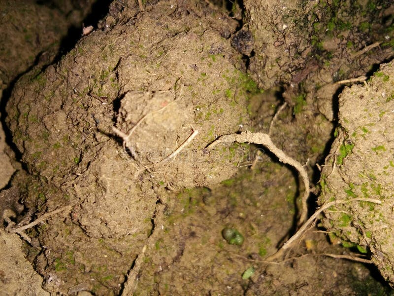 58,008 Moite Photos libres de droits et gratuites de Dreamstime