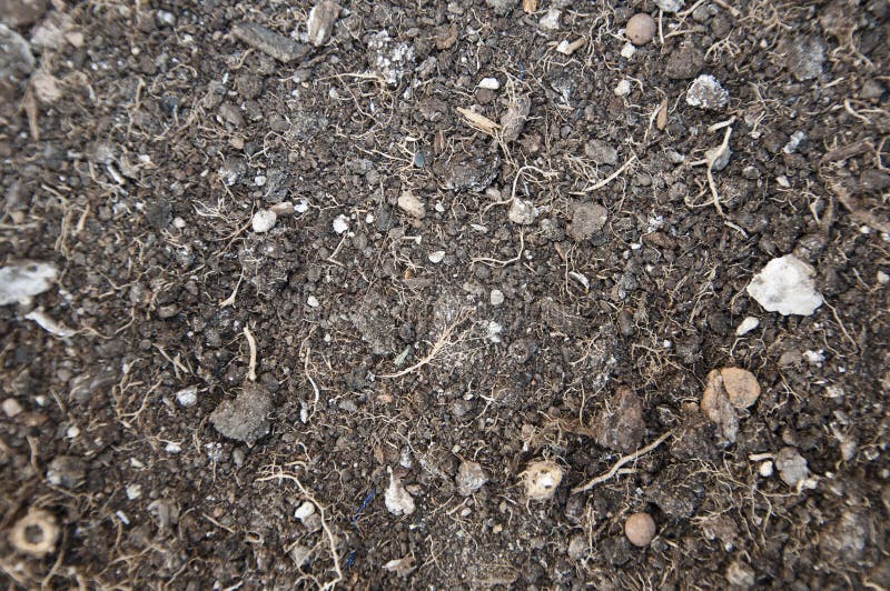 Sol Organique Ou Terre Terre Texture Sol Fond De Boue Photo stock ...