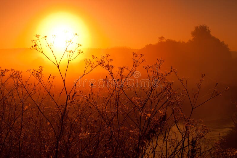 355,517 Fotos de Stock de Sol Quente - Fotos de Stock Gratuitas e Sem ...