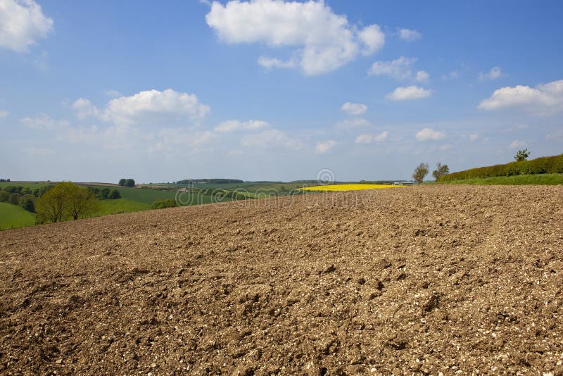 Sol Rugueux De Charrue Dans Un Paysage De Patchwork Dans Le Printemps ...