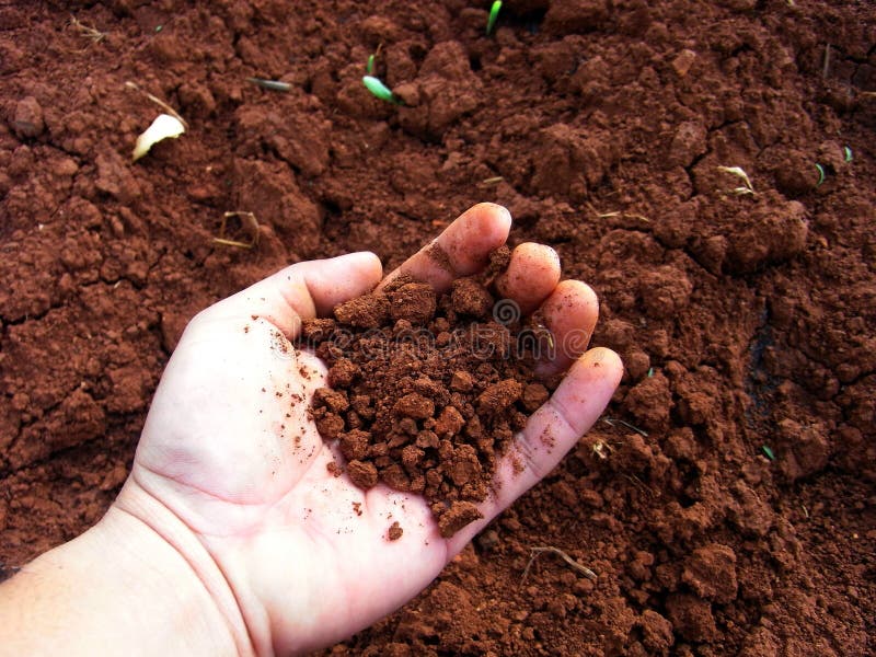 Sol sec photo stock. Image du poudre, agriculture, poussière - 37805814