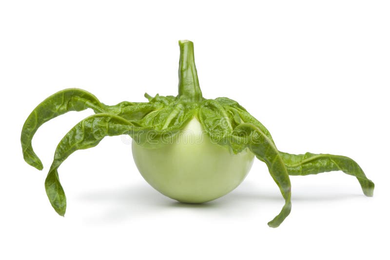 Berenjena Africana Vegetal Diakhatou Foto de archivo - Imagen de ...