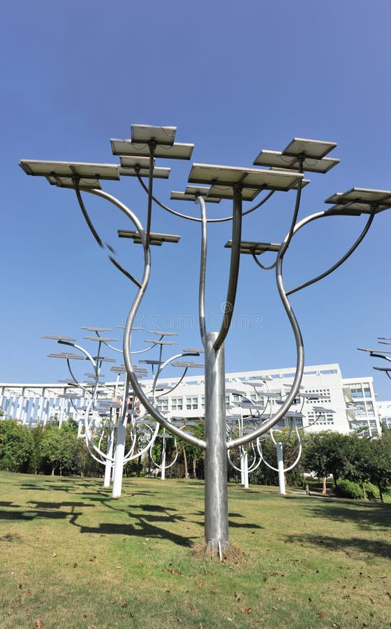 Solaire Par La Structure Arborescente Image stock - Image du prairie ...