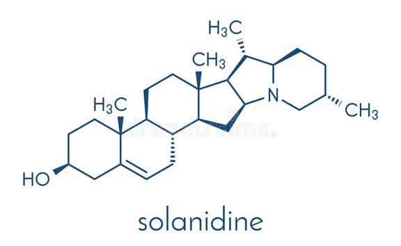 Solanidine Potato Toxin Molecule. Skeletal Formula. Stock Vector ...
