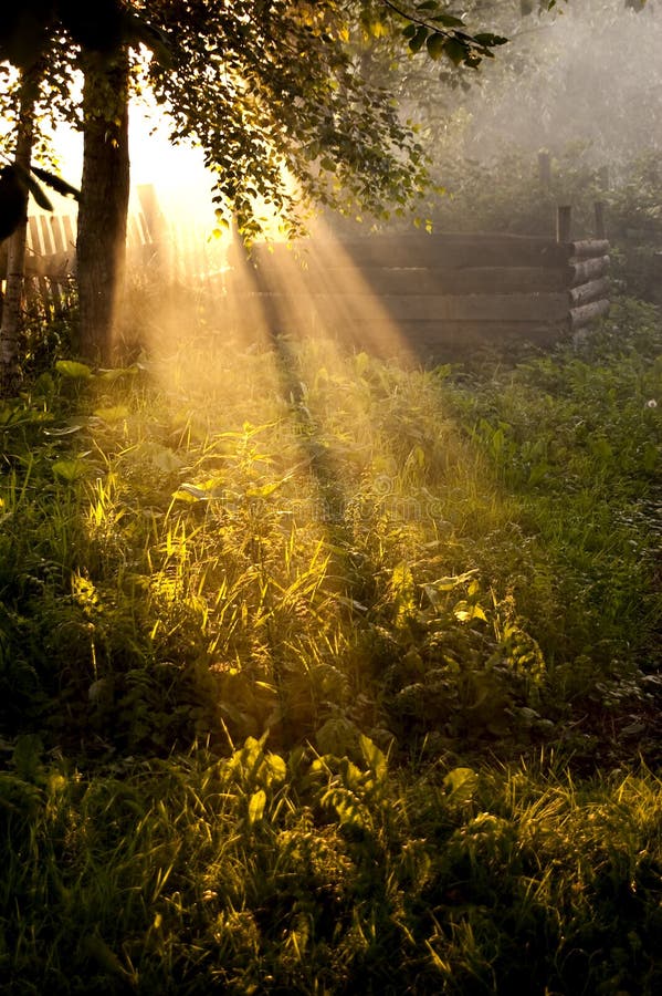 Solar beams stock image. Image of grass, yellow, landscape - 10140791