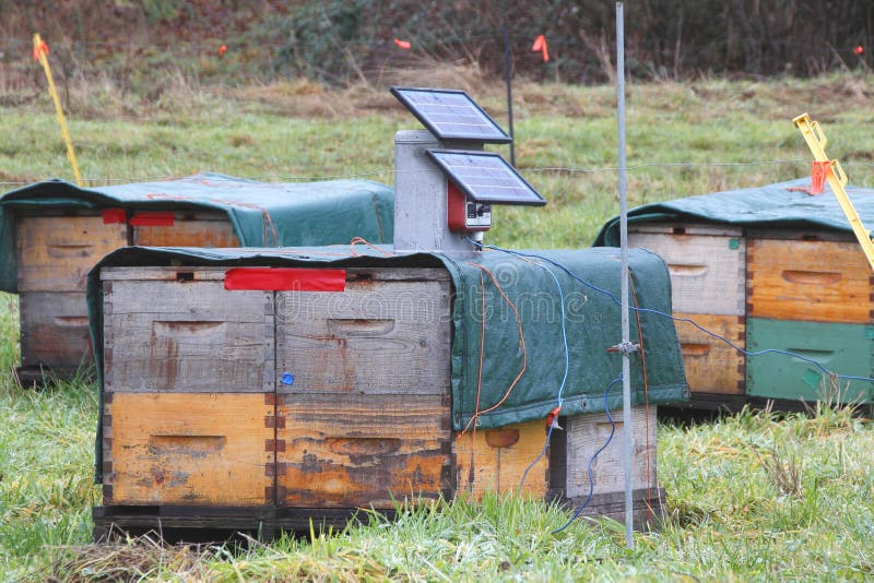 Solar Bee Hive Cooler stock photo. Image of solar, temperature - 65526584