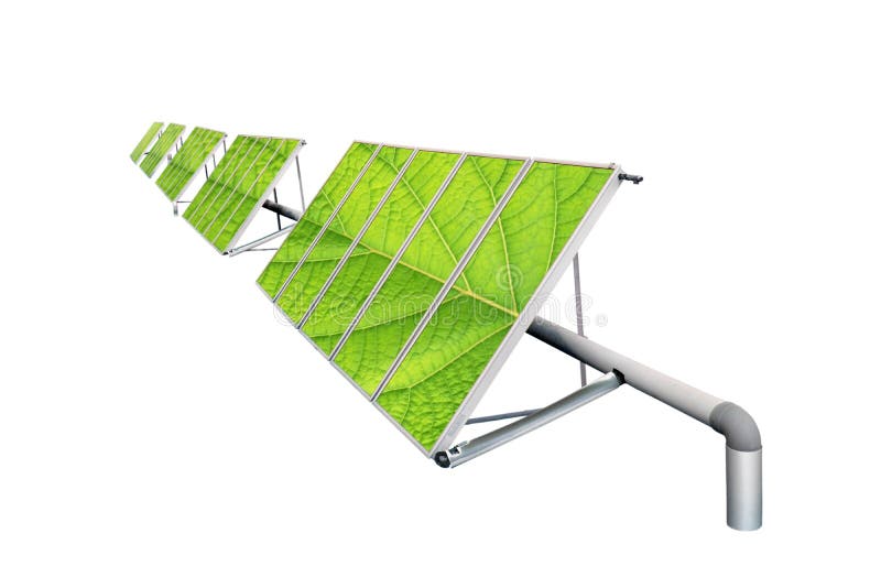 Solar Cell Panels Array with Plant Leaves Surface Green Energy Concept ...