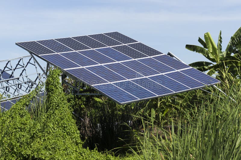 Field of Green Energy Photovoltaic Solar Panels Stock Image - Image of ...