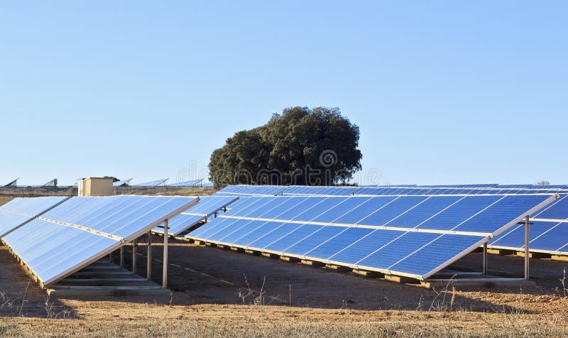 Solar Collectors For Electricity Stock Photo - Image of energy, panel ...