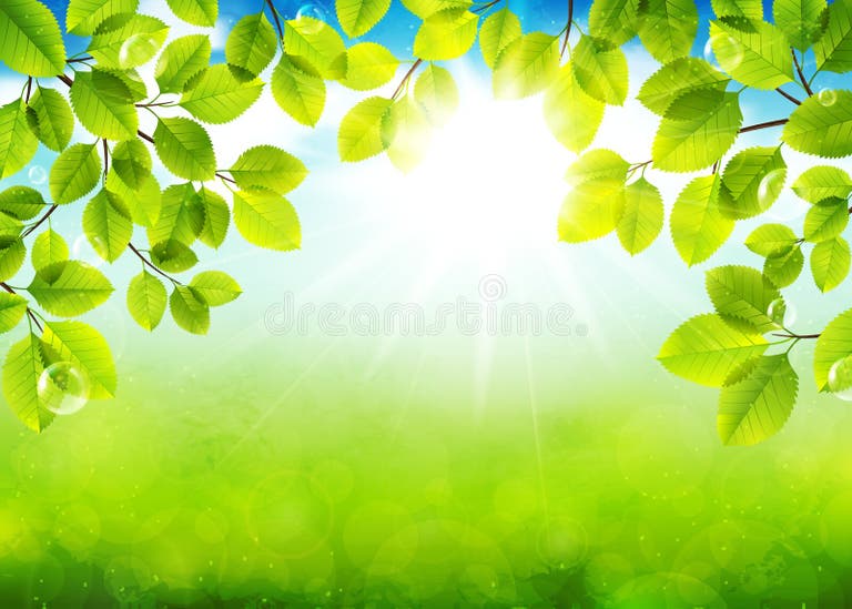 Solar day stock vector. Illustration of herb, solar, spring - 40992406
