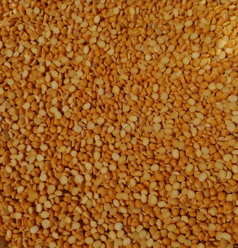 Solar Dry Heating Technique- Pulses Drying in Solar Heat Stock Image ...