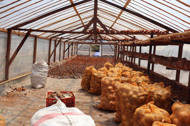 Solar Dryer with Copra stock image. Image of tree, coconut - 292215721
