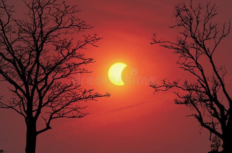 Solar Eclipse in the Fall Season Stock Image - Image of piece, eclipse ...