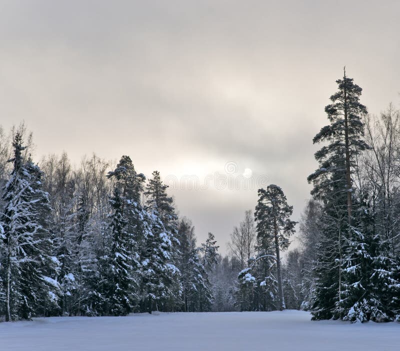 Solar eclipse in winter stock photo. Image of snowbank - 23394782