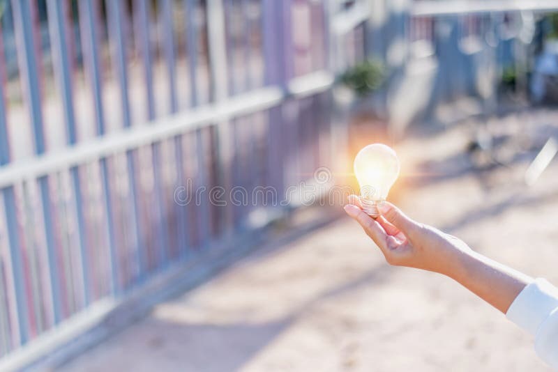 Hand holding a light bulb. stock photo. Image of holding - 244319130