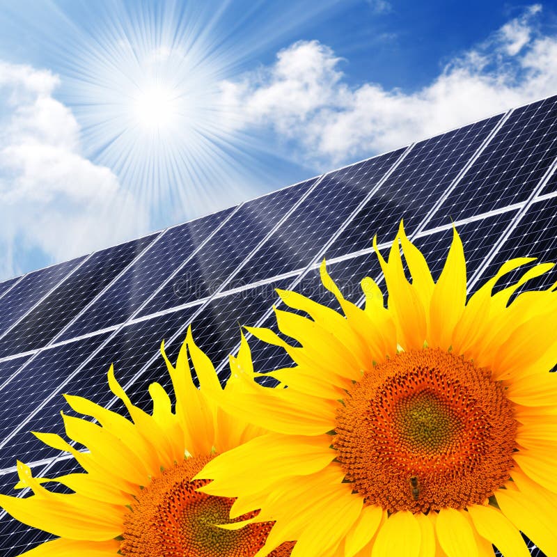 Solar Energy Panel and Sunflowers. Stock Illustration - Illustration of ...