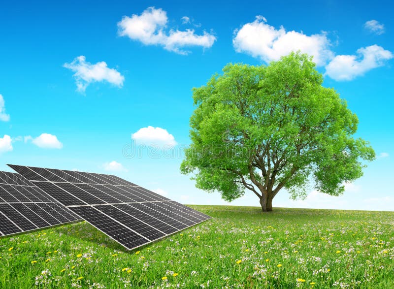 Solar Energy Panels and Tree on Meadow. Stock Photo - Image of meadow ...
