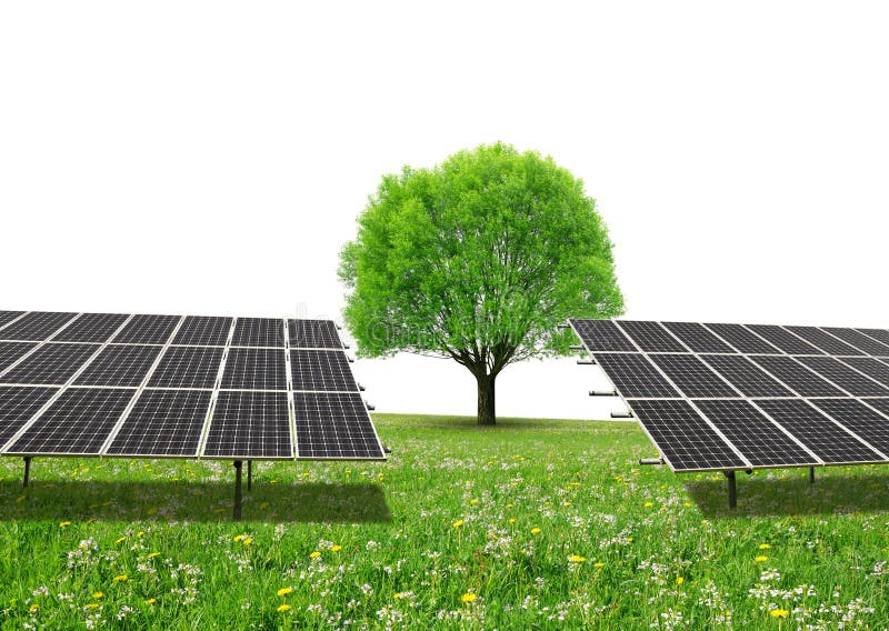 Solar Energy Panels and Tree on Meadow with Copy Space. Stock Image ...