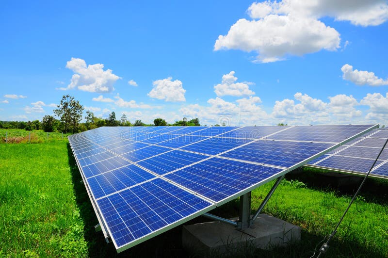 4,484 Solar Plants Photos - Free & Royalty-Free Stock Photos from ...