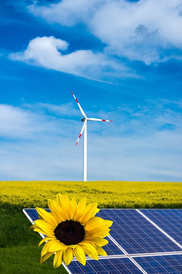 Solar Energy Wind Power in the Sun Stock Photo - Image of panel, flower ...