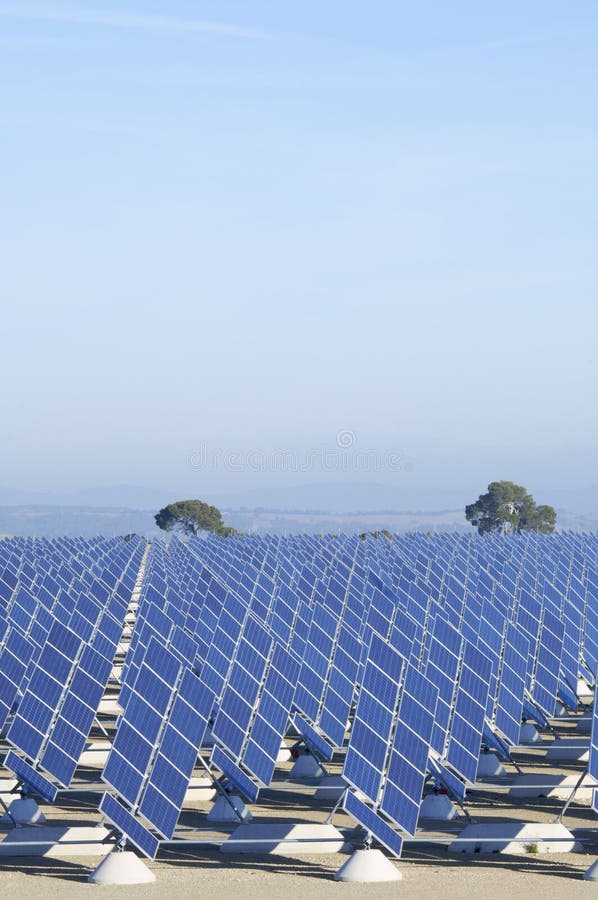Solar field stock photo. Image of energy, electrical - 13603022