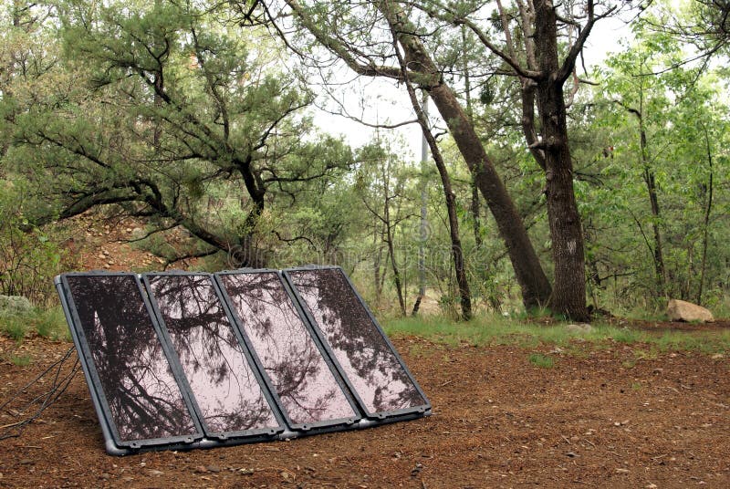 Solar in the Forest stock photo. Image of green, trees - 10052702