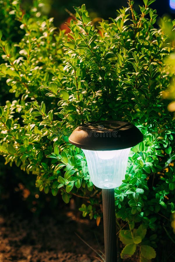 Solar Garden Light, Lantern in Flower Bed. Garden Design. Solar Stock ...