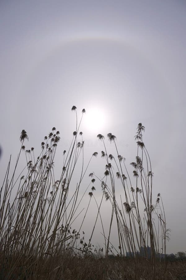 Solar halo stock photo. Image of optical, phoebus, apollo - 86702436