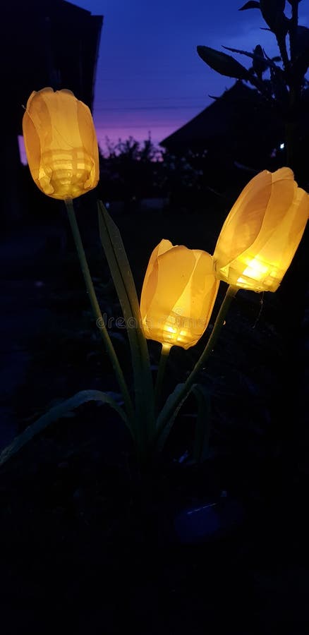 Solar Lamp Refl Stock Photos - Free & Royalty-Free Stock Photos from ...