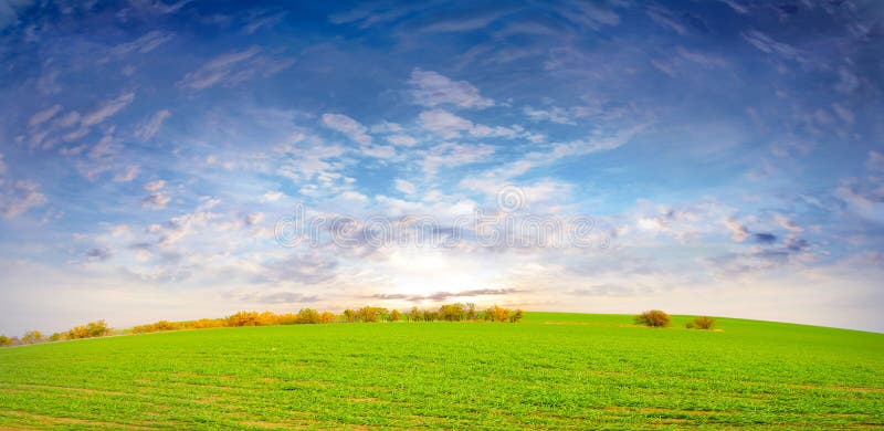 On the solar meadow stock image. Image of pasture, rural - 27473283