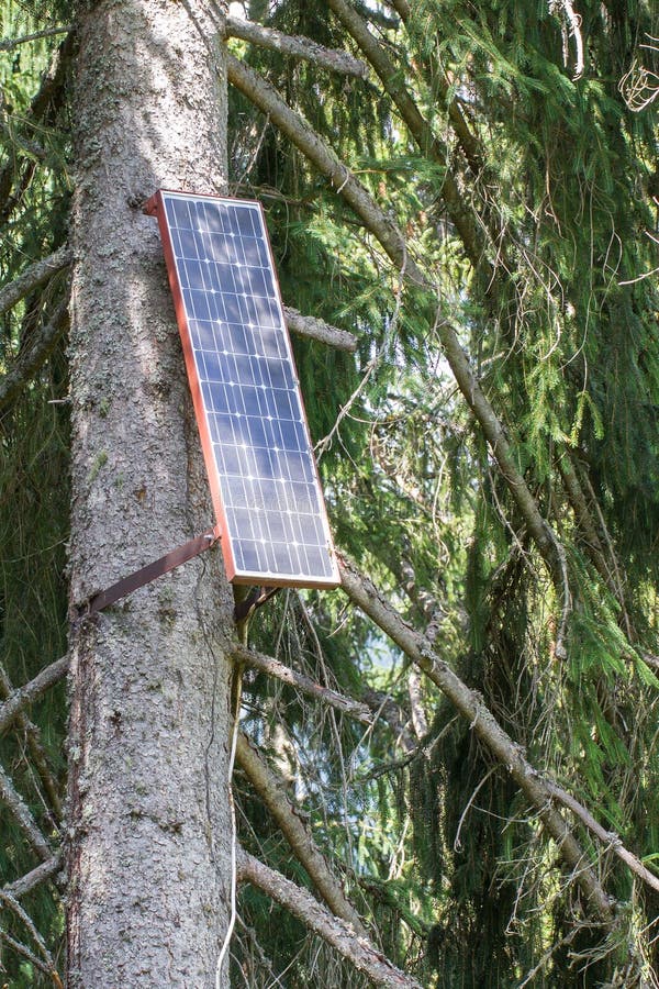 Solar Panel Attached To a Large Tree Stock Photo - Image of environment ...